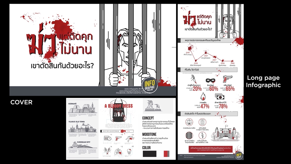 Infographic Single page & Album