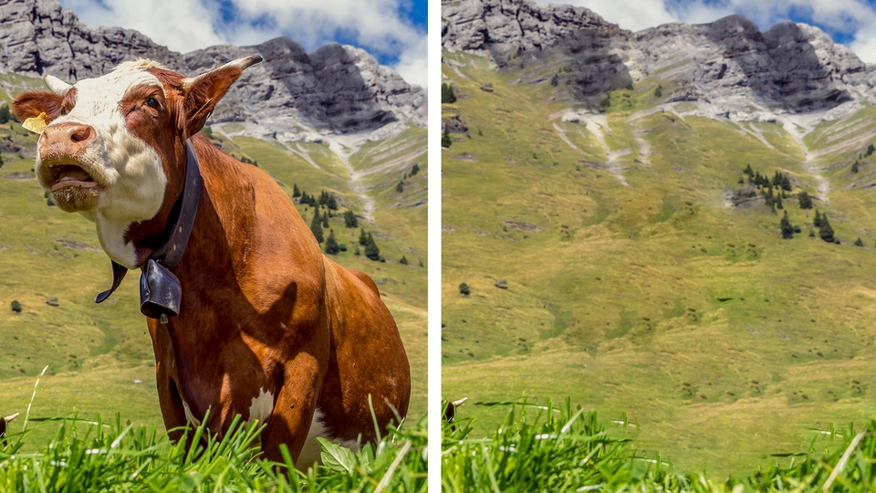 Photo Editing (Crop, Remove Background, Dll)