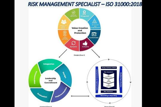 Risk Maturity Index Assessment