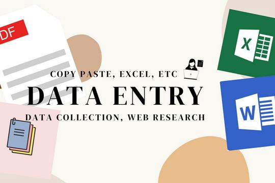 Data Entry Fast Respon