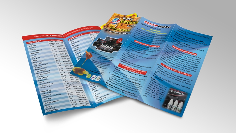 Desain Brosur, Flyer Profesional