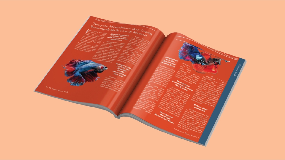 Graphic & Layout Design untuk Buku/Majalah/Company Profule/Portfolio ...