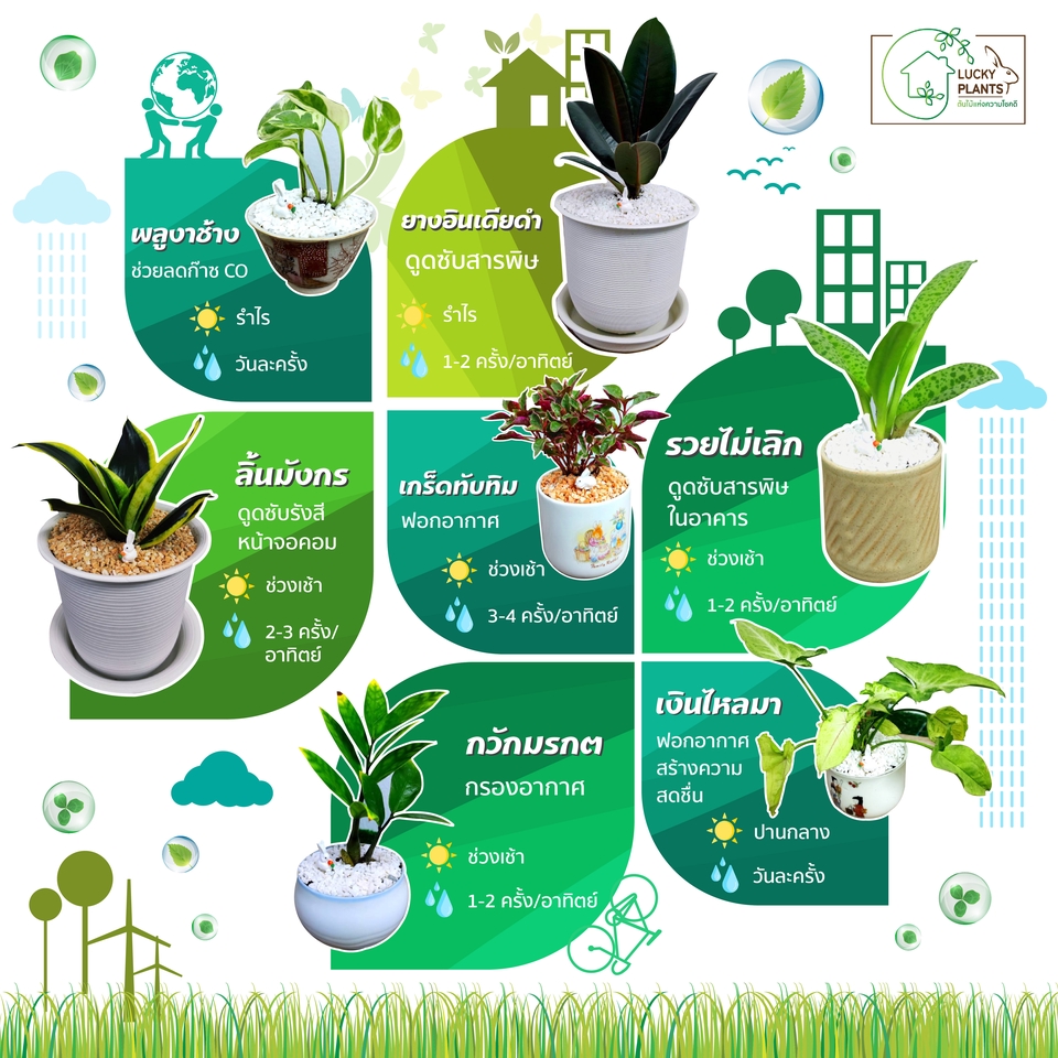 รับออกแบบสื่อโฆษณาFB/Line/IG/Shopee