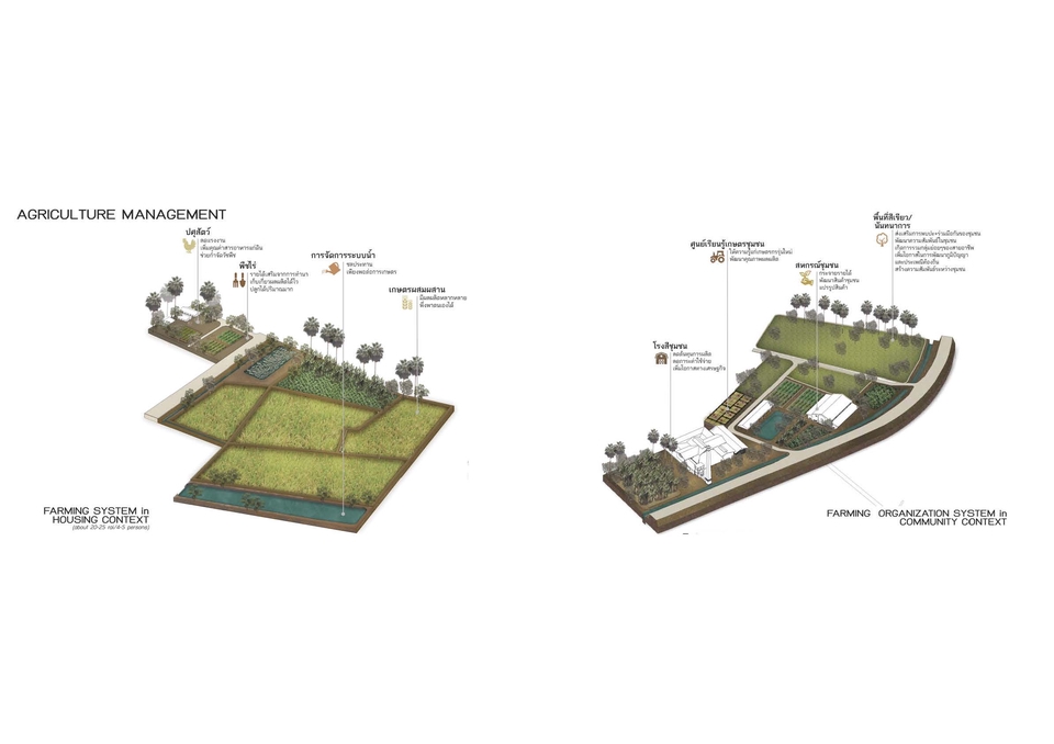 [ masterplan illustration ] ภาพประกอบผัง 2D, 3D, isometric, plan ...