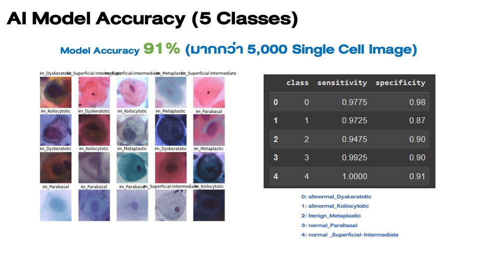 รับทำ Machine Learning, Deep Learning & 📈 AI Image Processing