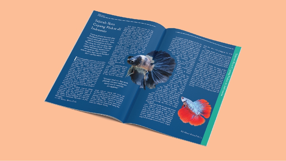 Graphic & Layout Design untuk Buku/Majalah/Company Profule/Portfolio ...