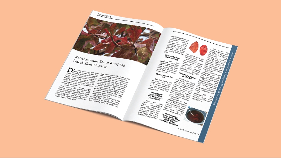 Graphic & Layout Design untuk Buku/Majalah/Company Profule/Portfolio ...