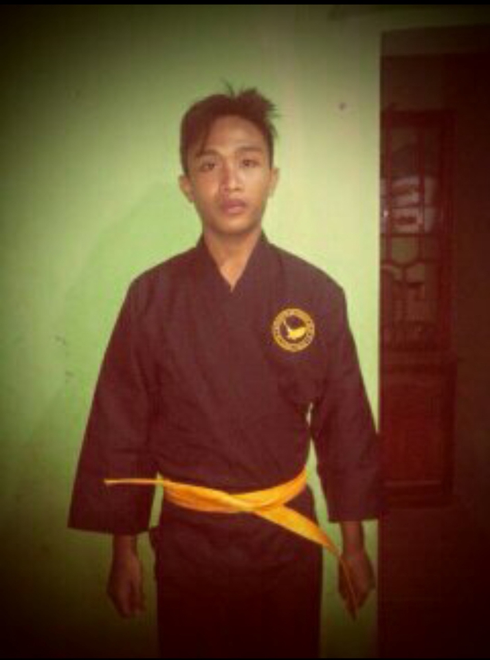 Bimbingan pelatihan ilmu bela diri pencak silat