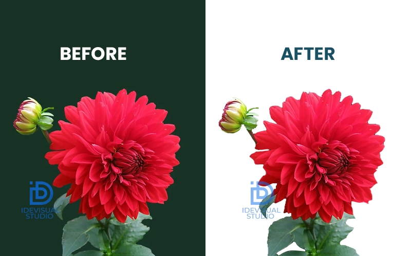 Hapus Background & Ganti Background harga Bersahabat