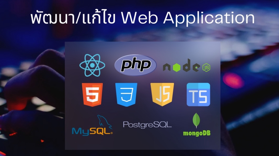พัฒนา/แก้ไข Web Application