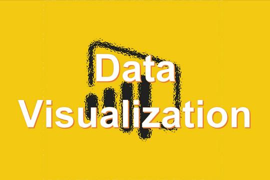 Data Visualization