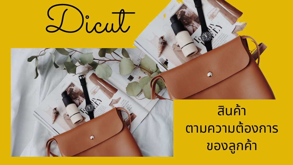 รับไดคัท รีทัช ตกแต่งภาพตามความต้องการ ราคาสบายกระเป๋า