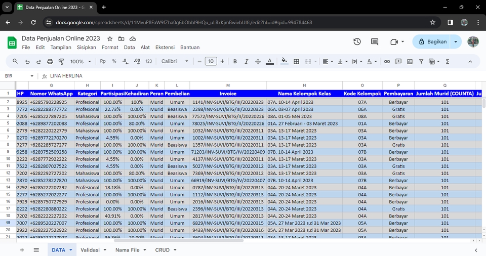 Data Entry Pro: Excel & Google Sheets Mastery