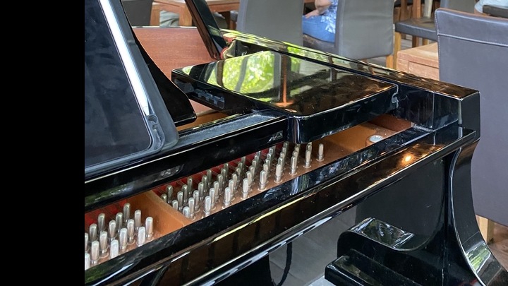 นักดนตรี Jazz/Pop Piano รับจ้างเดี่ยวเปียโน บรรเลงเปียโน ร้องเพลง วงดนตรี