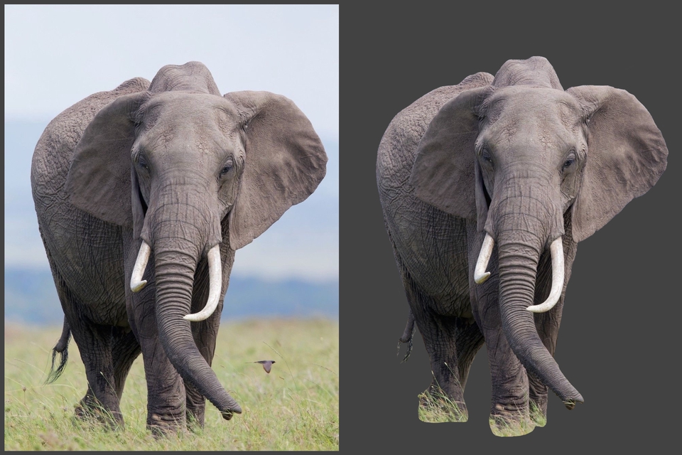 Hapus Latar Foto - Remove Background of Photos