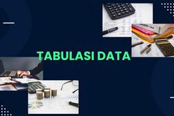 Tabulasi Data dalam 2 Hari
