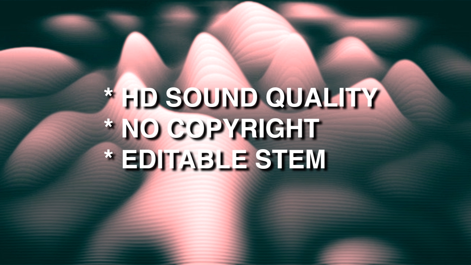 Audio Bumper & Stinger