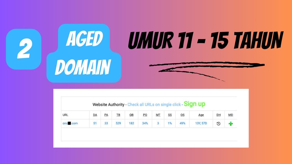 Jual Aged Domain atau Domain Berumur