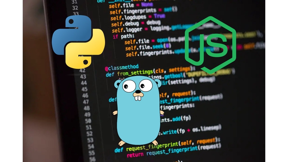 Custom scripts (Python, NodeJS, Golang)