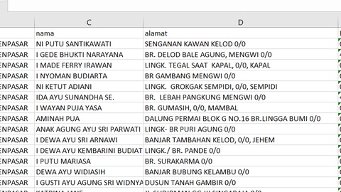 Jasa Entry Data, input data excel, word dengan rapih