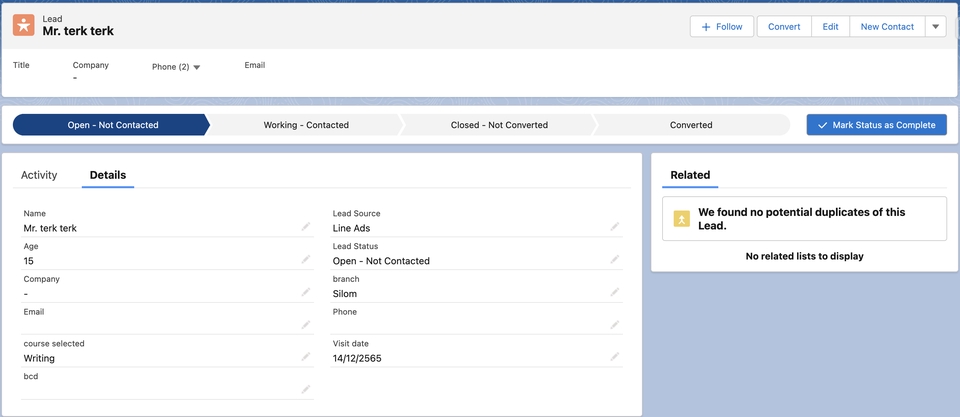 Salesforce developer and consultant