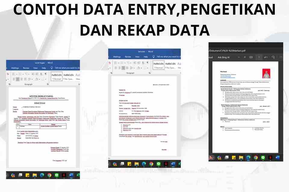 Virtual Assistant/ data entry service