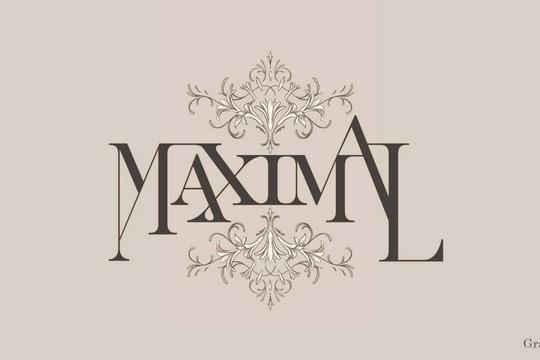 LOGO Maximal | ออกแบบใดๆ ที่ไม่มินิมอล