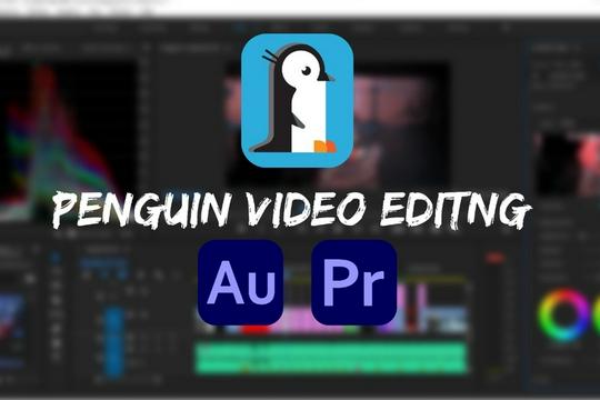 Penguin Video Editing