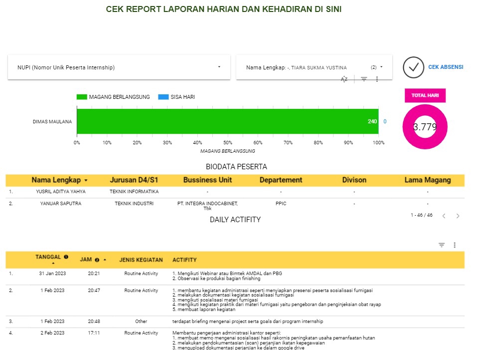 Custom Dashboard & Data Visualization Profesional