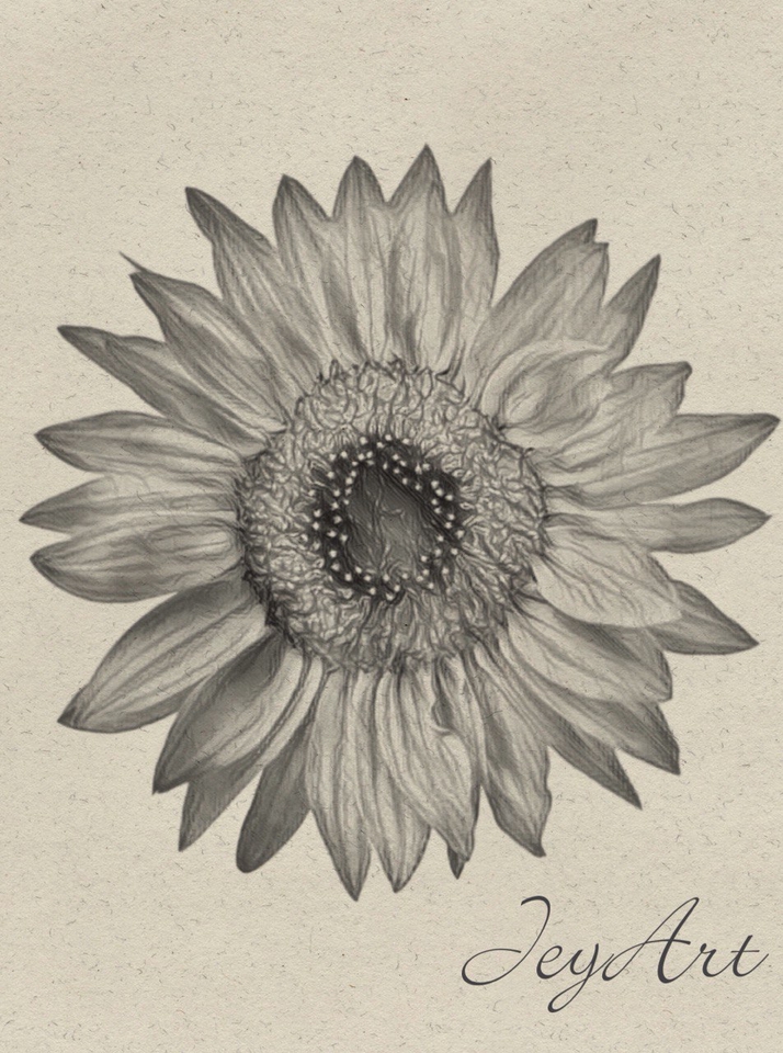 SKETSA ILUSTRASI OBJEK DAN BENDA