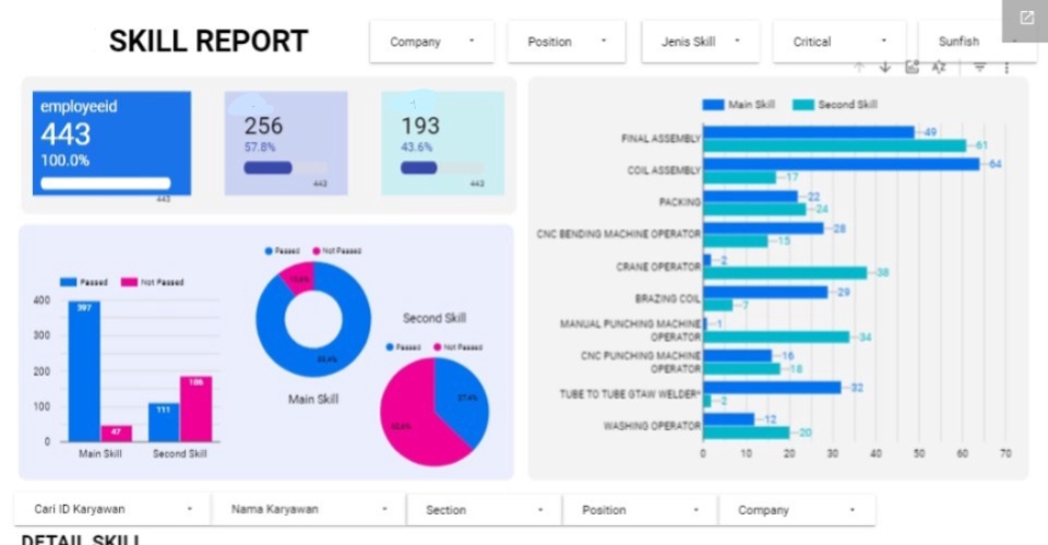 Custom Dashboard & Data Visualization Profesional