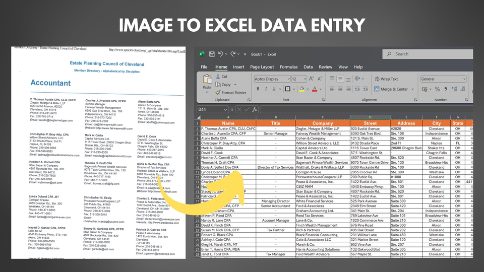 Data Entry, Image to Excel, PDF to Excel, Copy Paste Data, Entri Data, Excel, Spreadsheets