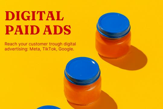Paid Ads (Meta, TikTok, Google)