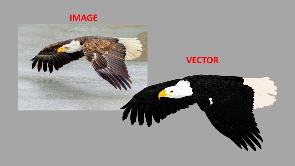 Manual Tracing Logo/Gambar Menjadi Vektor