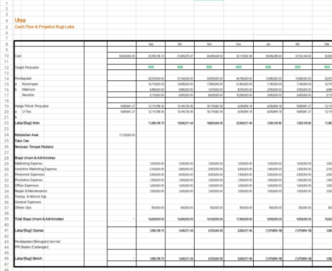 Jasa pembuatan cash flow business plan, HPP dna revenue produk usaha