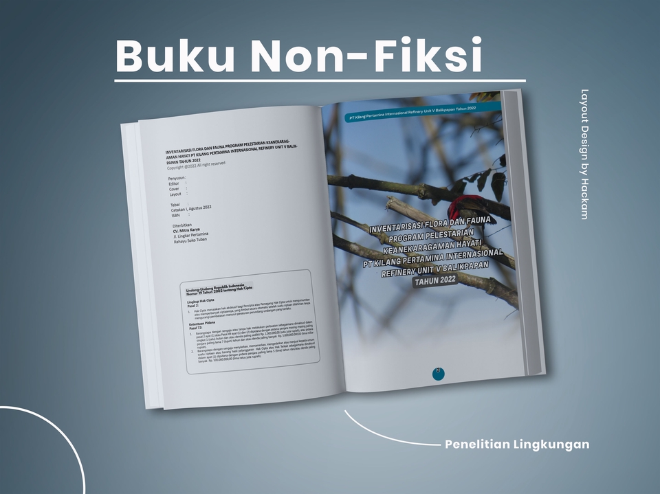 Format Layouting Majalah, Buku non fiksi Preofesional