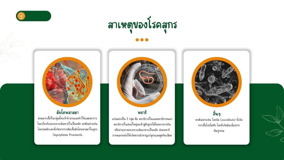 งานนำเสนอ