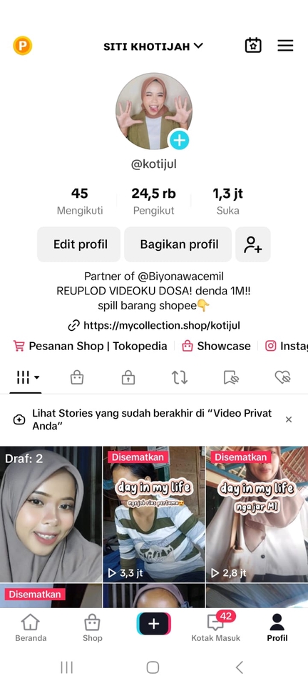 Endorsment & PAID PROMOTE TIKTOK 24,5K Follower