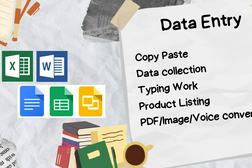 Data Entry / Typing / Konversi File