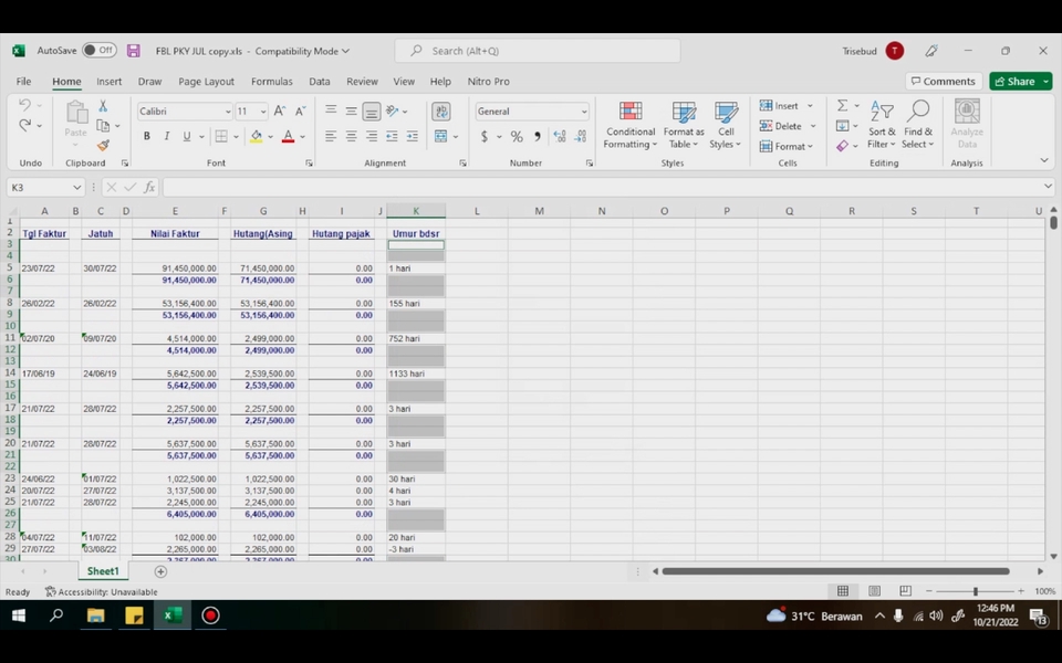 Jasa Pembuatan, Input, Edit Data di Microsoft Excel, 1 hari jadi!