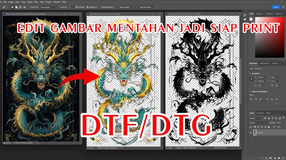 Edit Gambar Untuk Keperluan Cetak Sablon (DTF/DTG)