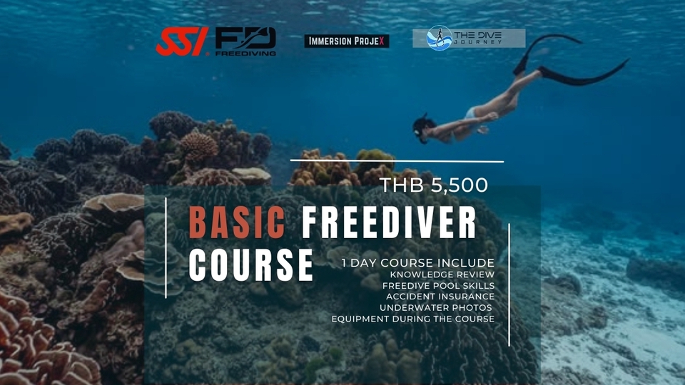 เรียนดำน้ำฟรีไดฟ์ เบสิกฟรีไดฟ์เวอร์ Basic Freediver course | Try Freedive ทดลองดำฟรีไดฟ์ | ภูเก็ต