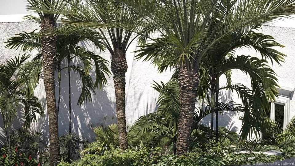 ENSCAPE LIBRARY ASSET