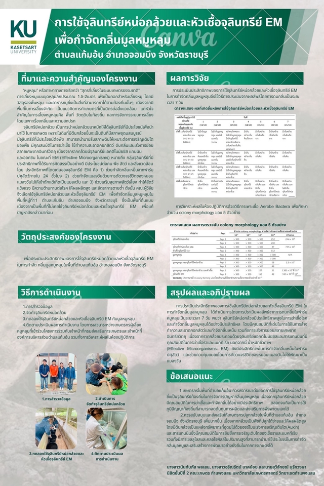 ออกแบบ infographic โปรโมตแบรนด์