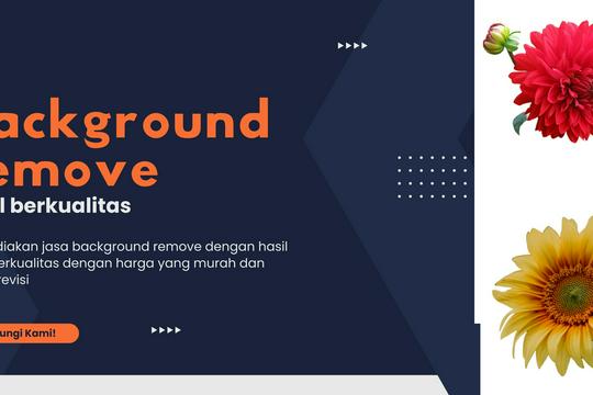 Background Remove Bebas Revisi Harga Murah