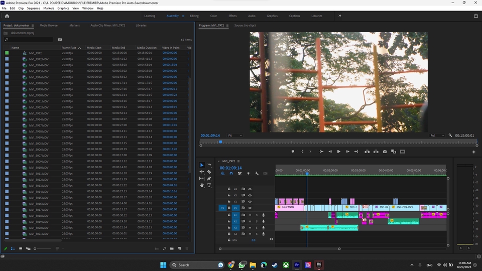 Professional video editing by EKLN team production