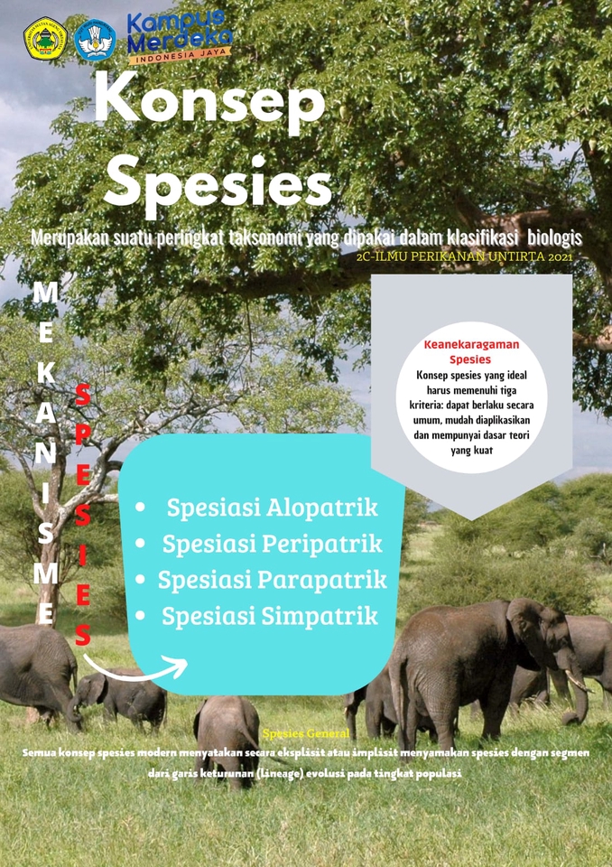 Desain Poster Bisa Kustom Isi kontennya 1 hari jadi