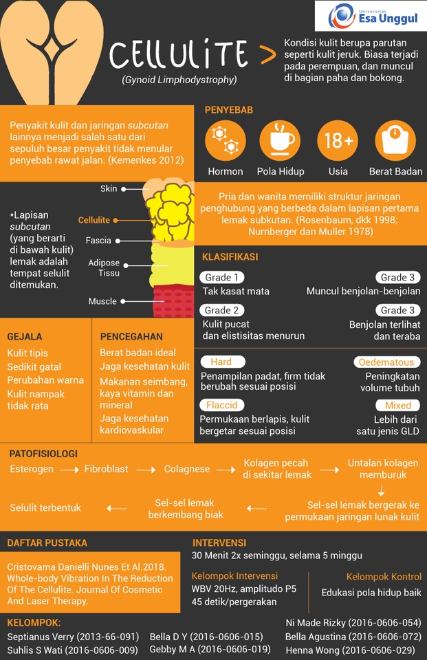 Desain Infografis Ciamik