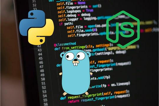 Custom scripts (Python, NodeJS, Golang)