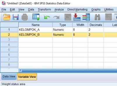 Jasa olah data SPSS cepat dan akurat